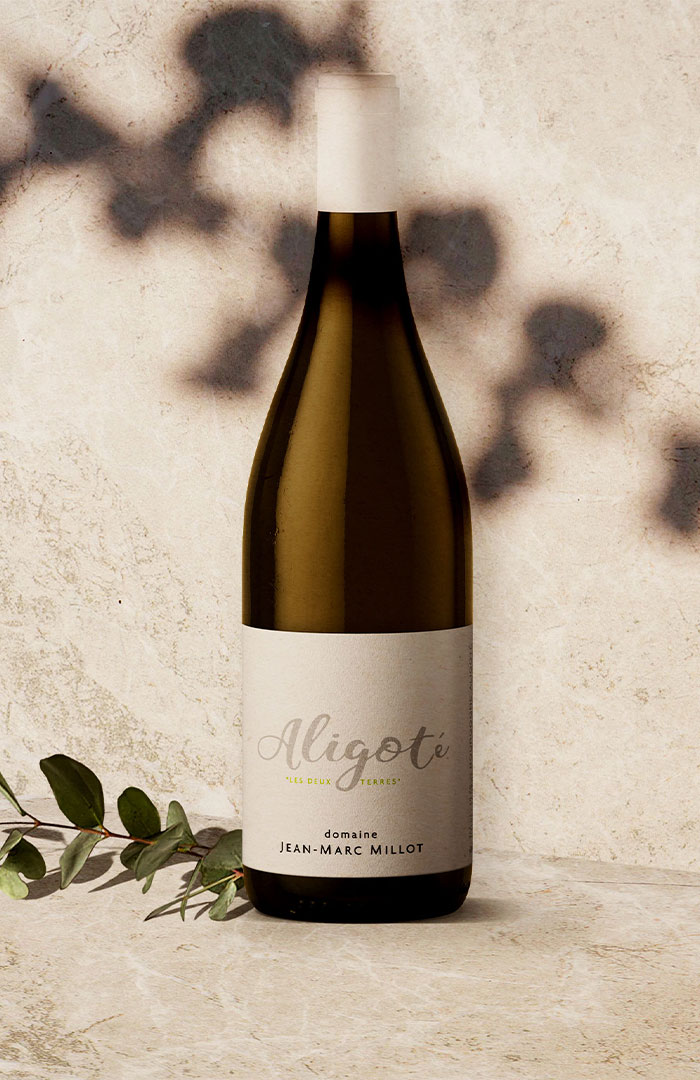 Aligoté - Domaine Jean Marc Millot